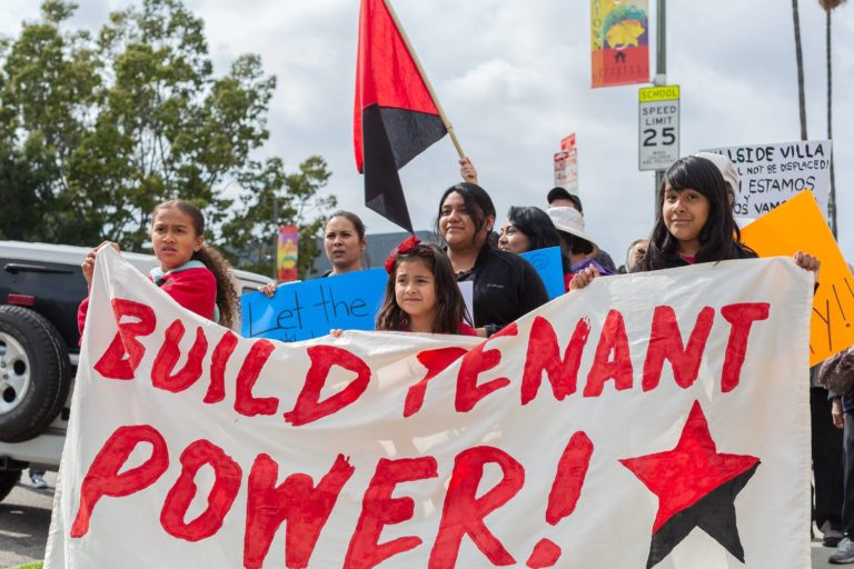 Organize - Black Rose/Rosa Negra Anarchist Federation