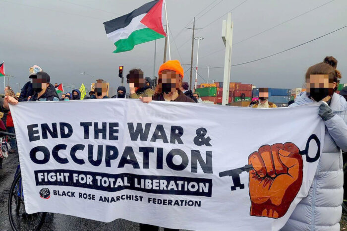 Deep Organizing Against Genocide: Palestine and Rooted Social Movements