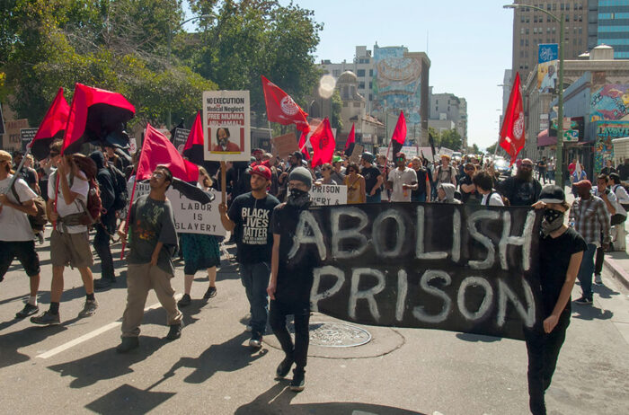 Abolitionist Organizing - Black Rose/Rosa Negra Anarchist Federation